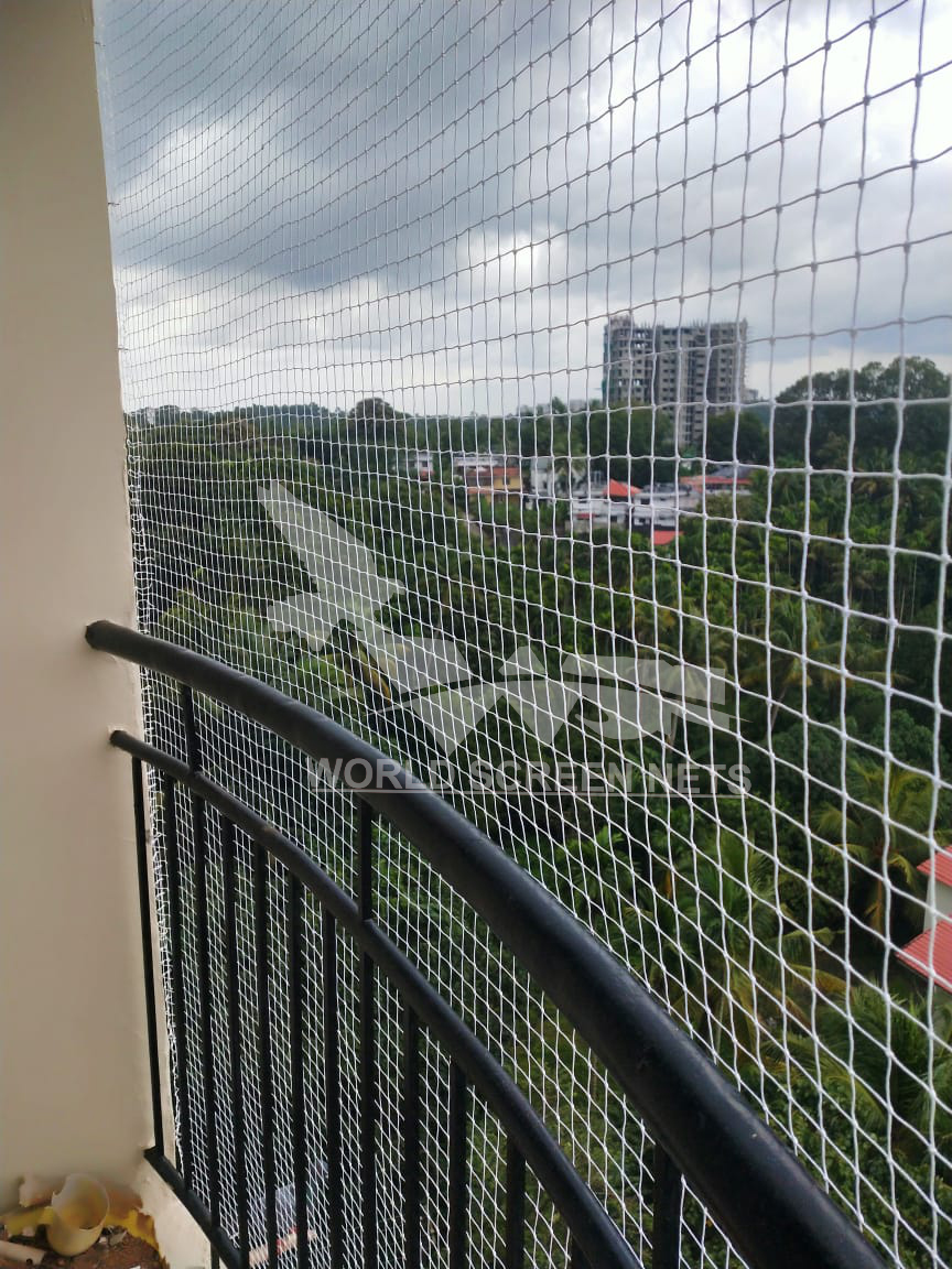 Gallery - World Screen Nets